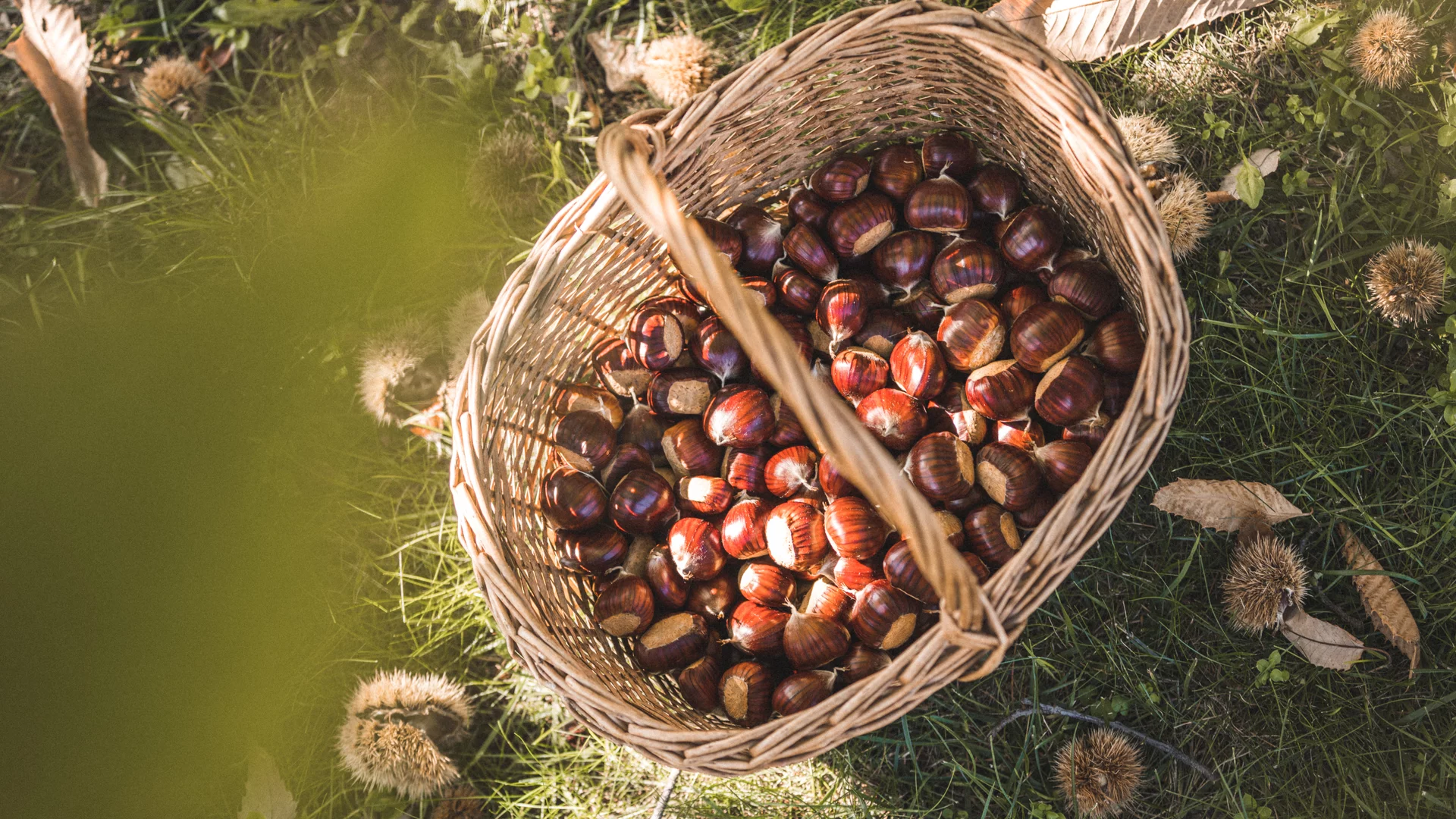 maroni • Garda Dolomiti